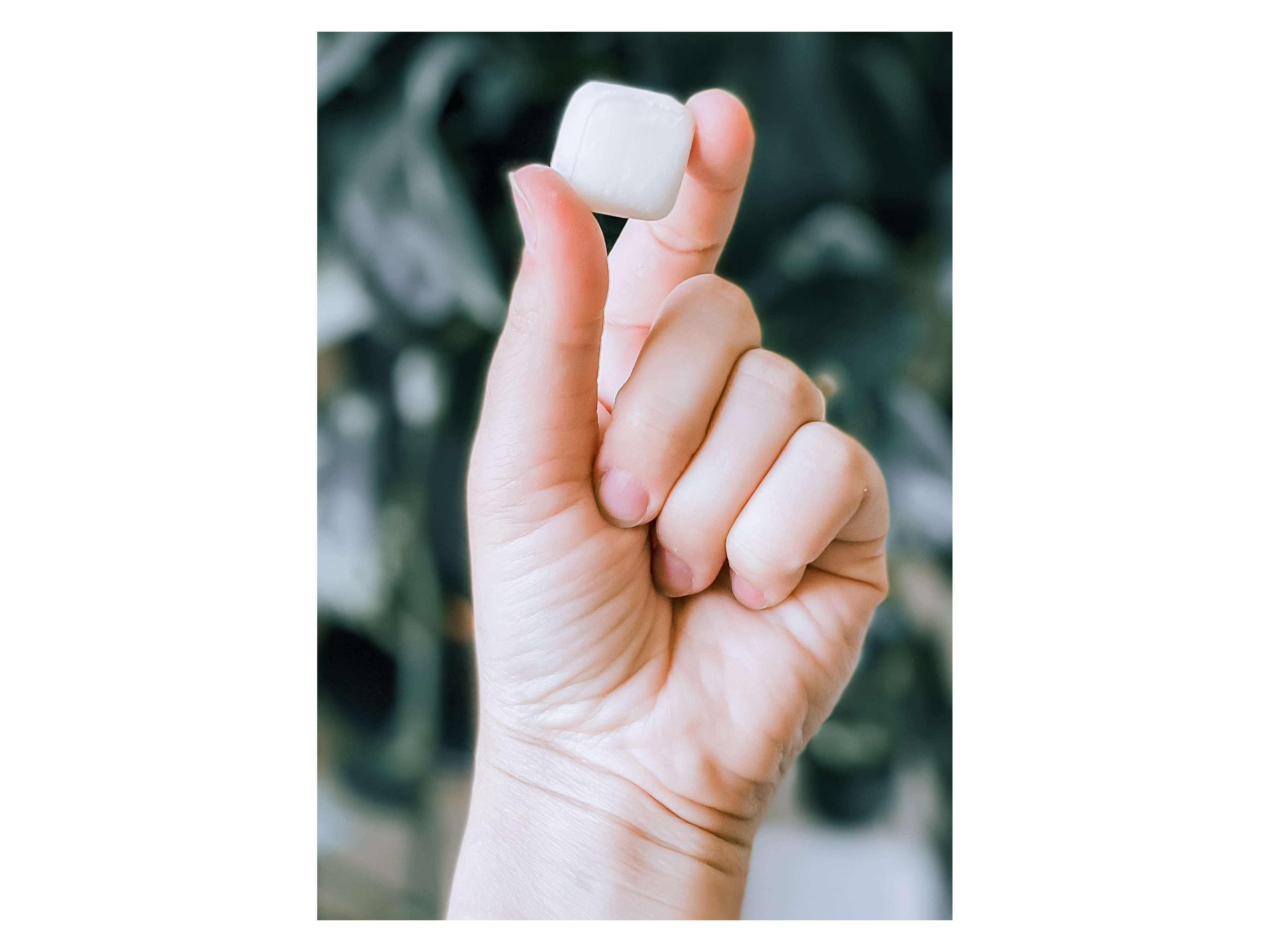 Apollo Energy Gum Spearmint, 5 stk - Vitaminer og mineraler - Farmasiet.no